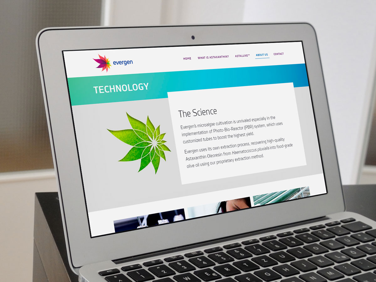 Evergen | Abe Liman - front end developer