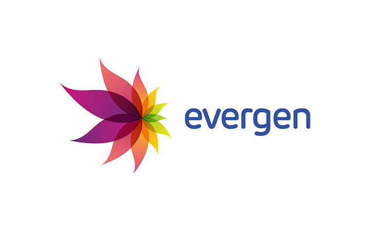 Evergen | Abe Liman - front end developer